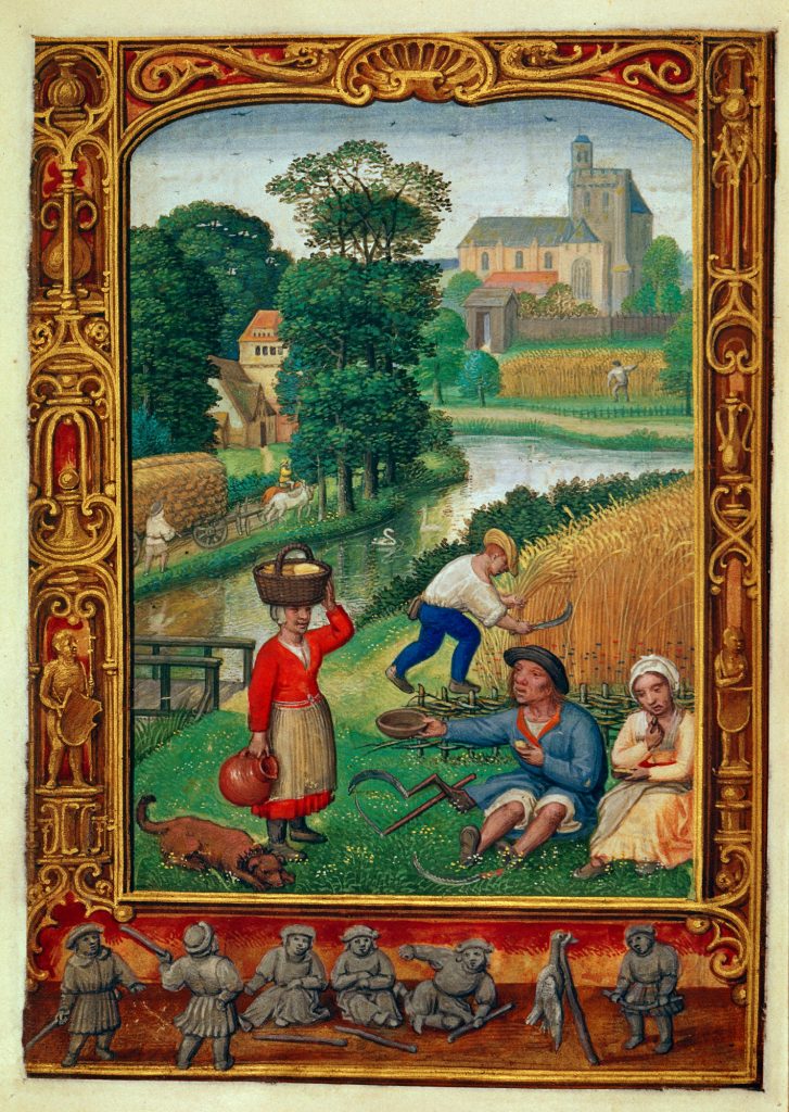 Medieval Peasants and Their Role in Rural Life