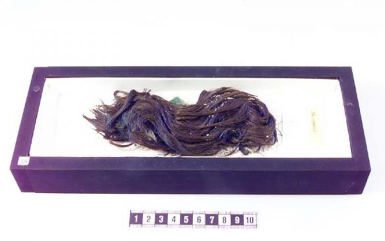 Archaeologies of Hair: The Head and Its Grooming from Ancient to ...