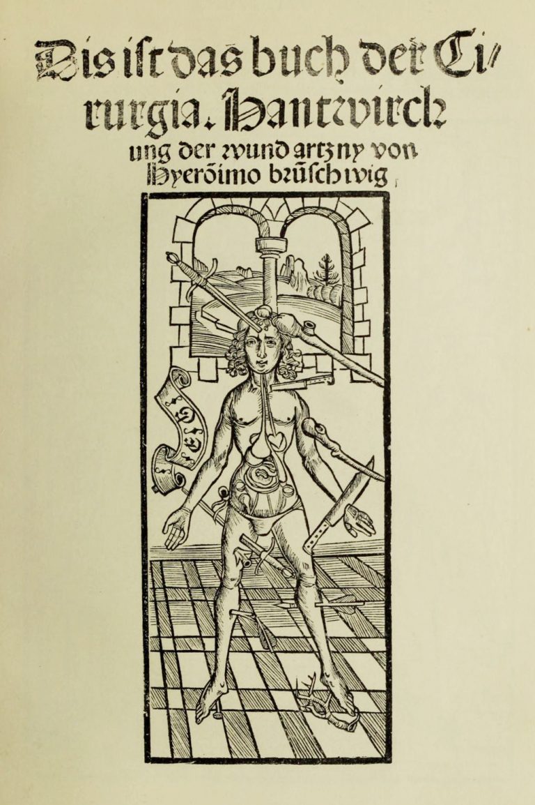 The Many Lives of the Medieval Wound Man