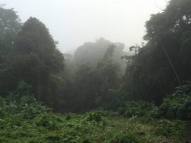 Excavating the "City of the Monkey God" in Honduras Brewminate: A Bold ...