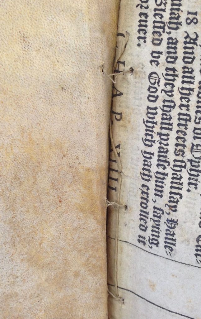 How the Reformation was Remembered, Forgotten, Contested, and Re ...