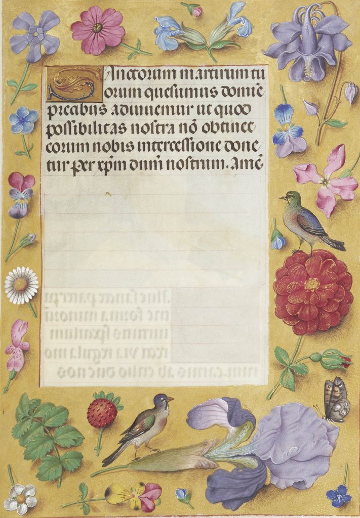 Flowers in Renaissance Manuscripts and Their Symbolism