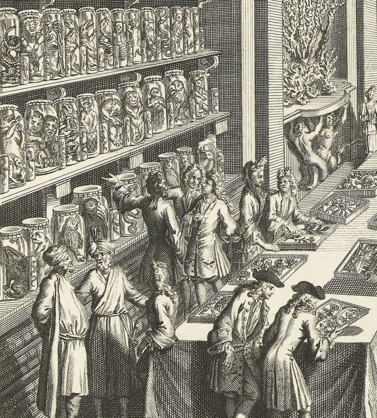 Redressing the Balance: Levinus Vincent’s Wonder Theatre of Nature