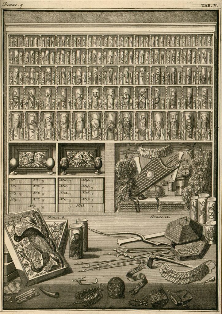 Redressing the Balance: Levinus Vincent’s Wonder Theatre of Nature