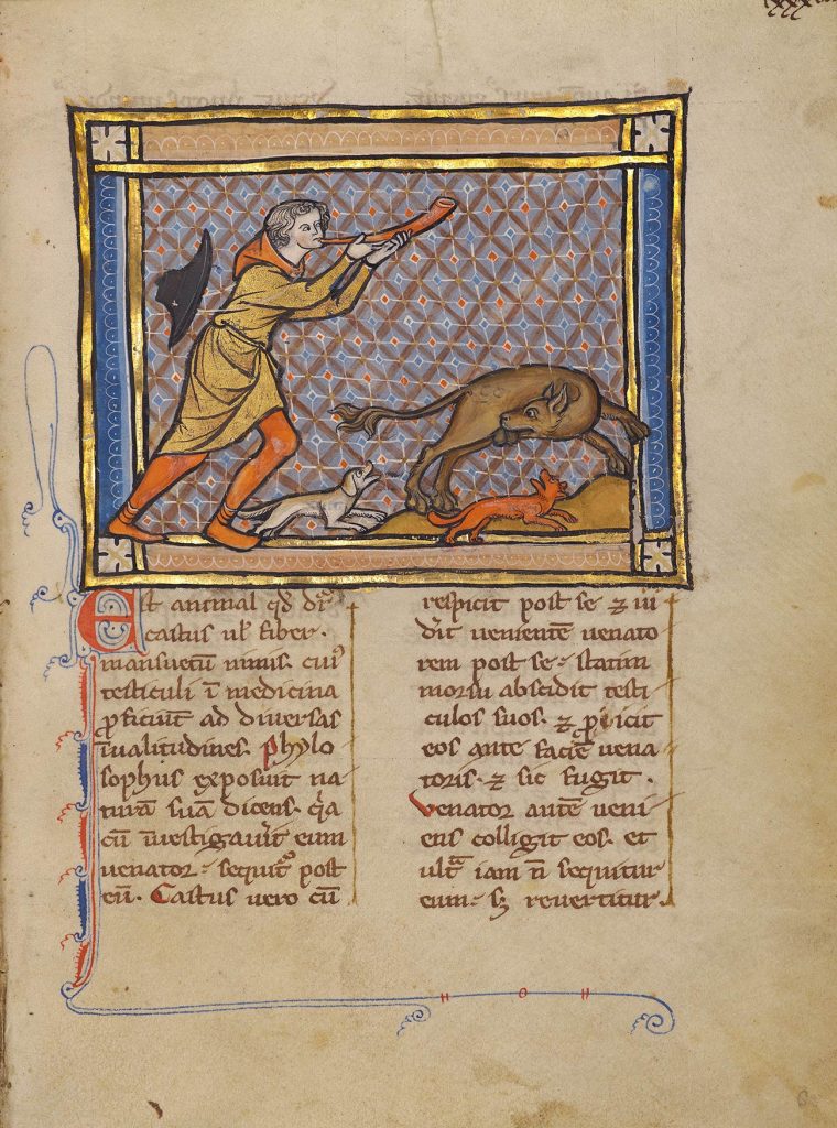 The Treasured Testicles of the Medieval Beaver Brewminate: A Bold Blend ...
