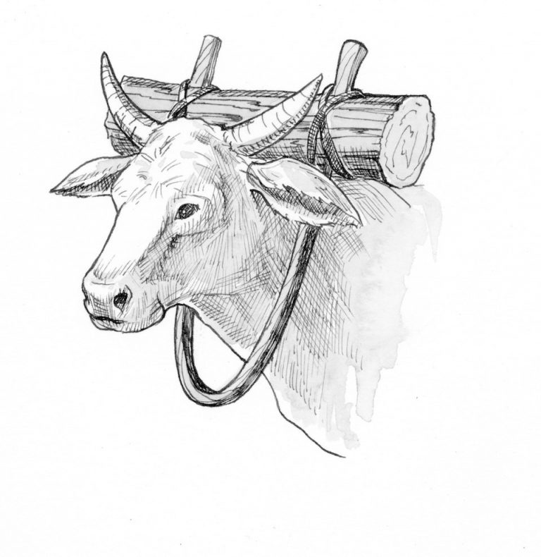 Medieval Agricultural Tools