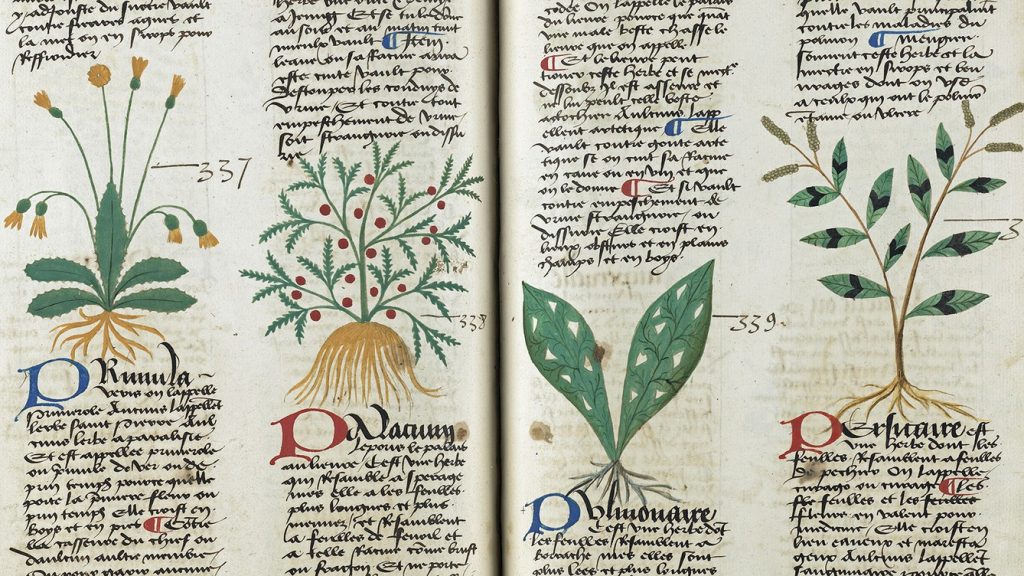 The Art and Knowledge in Medieval Herbals