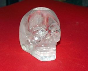The Fourth Skull: A Tale of Authenticity and Fraud