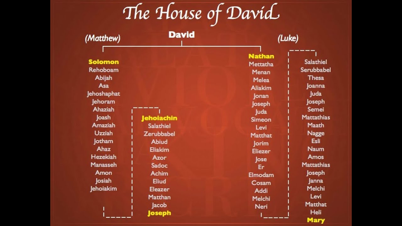 Priestly Lineages in the History and Rhetoric of Ancient Israel