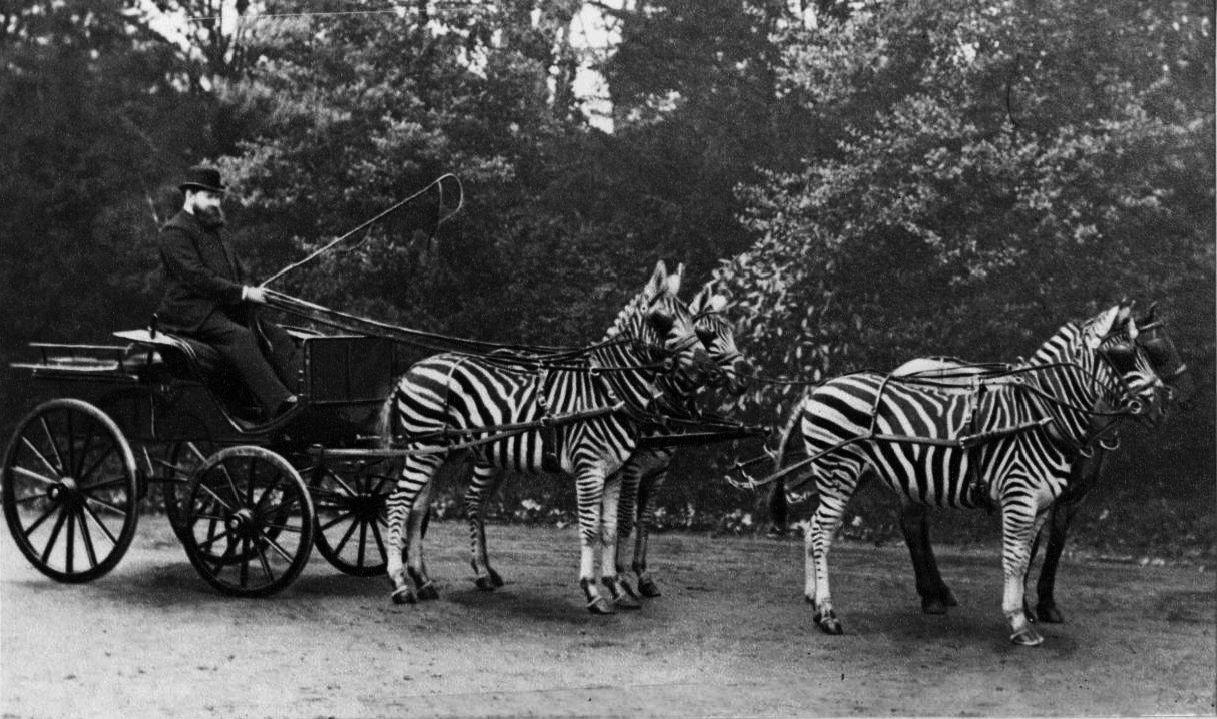 Lord Balfour and His Zionist Declaration in 1917