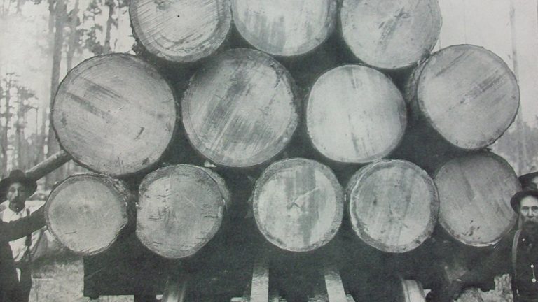 Inside the Jackson Tract: The Battle Over Peonage Labor Camps in ...