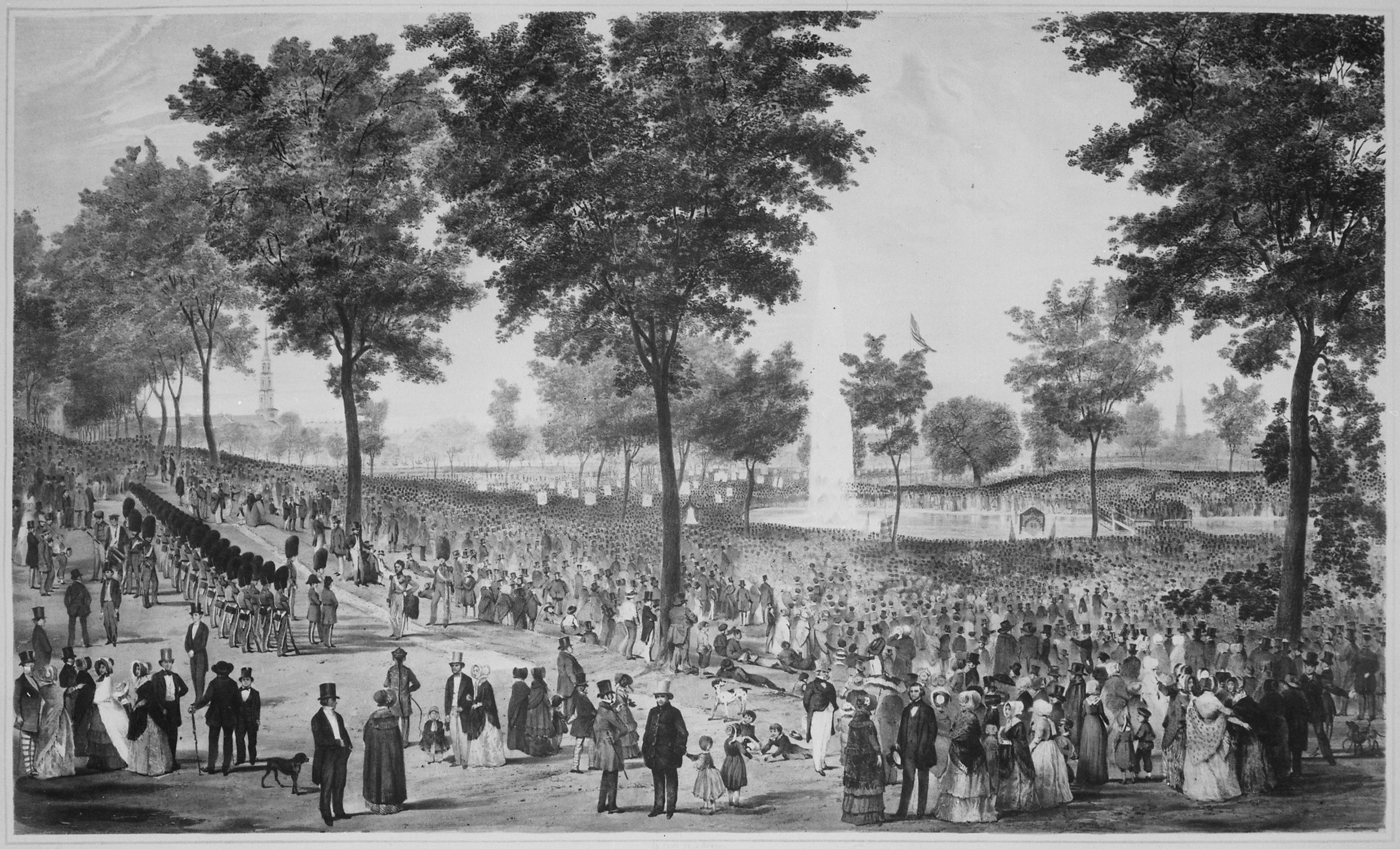 Trends in American Conservation in the 19th and 20th Centuries ...