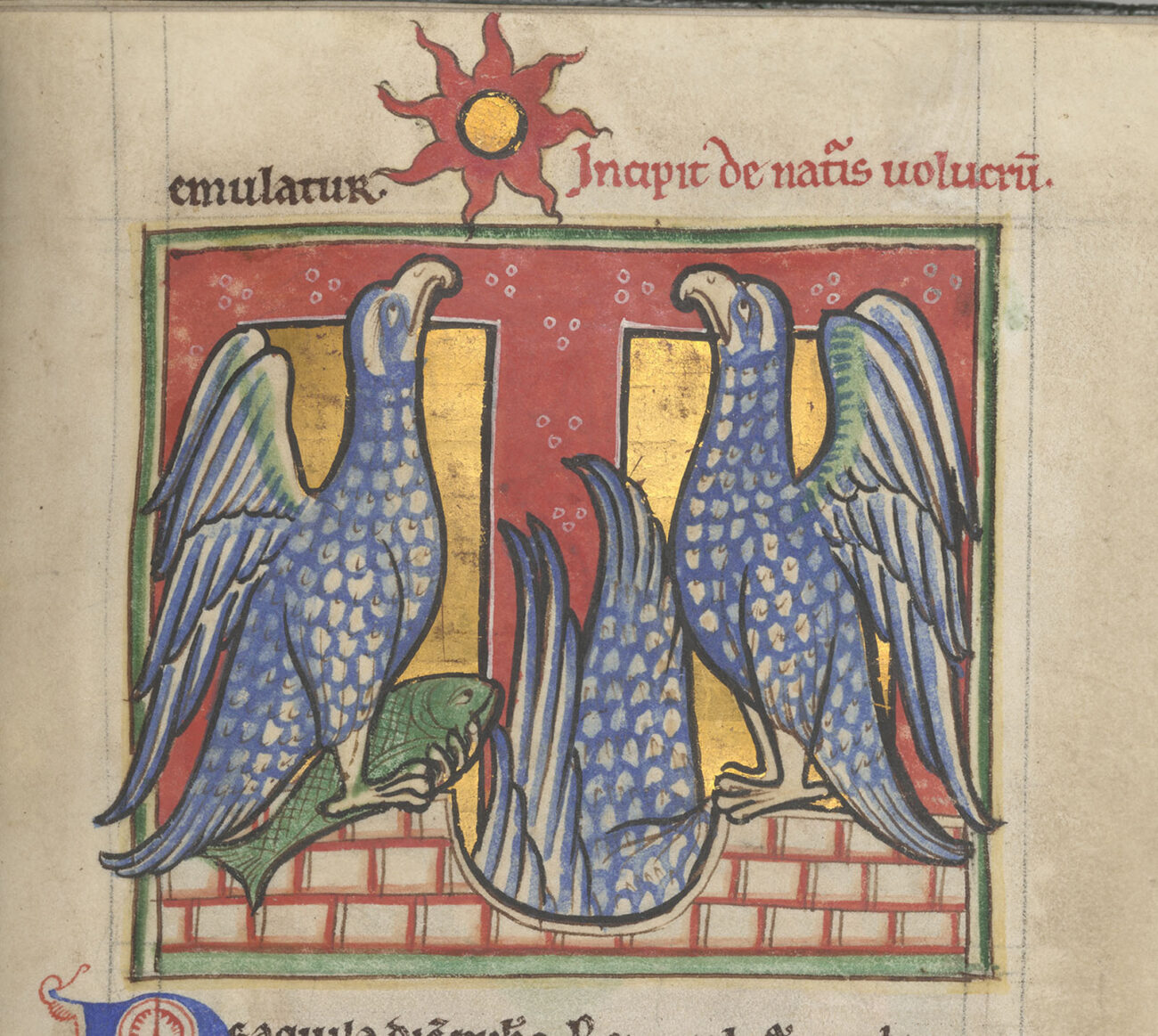 An Introduction to the Bestiary, Book of Beasts in the Medieval World ...