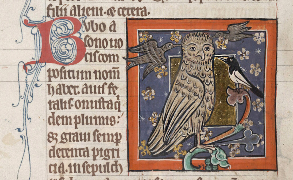 The Bad Side of the Medieval Bestiary