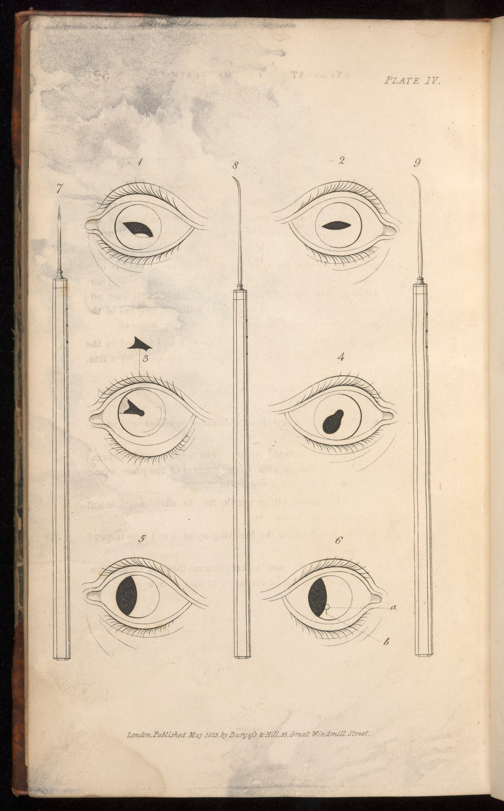 Printing the Body: Anatomical Illustration in the Early Modern Period ...