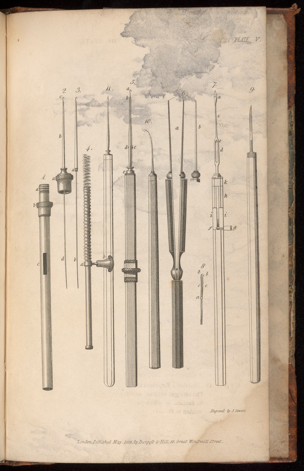 Printing the Body: Anatomical Illustration in the Early Modern Period ...