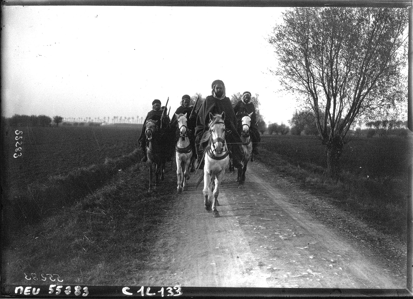 Experiences of Colonial Troops during World War I