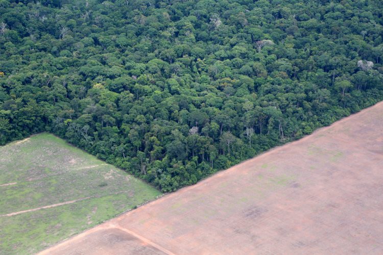 The Yudja: Brazil's People of the Forest