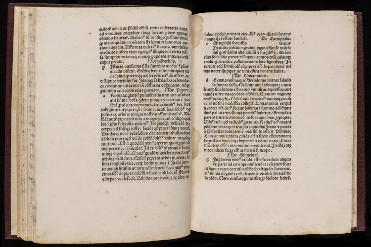 The Medieval Spice Trade