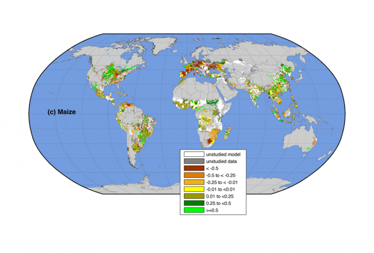 Climate Change Is Affecting Crop Yields and Reducing Global Food ...