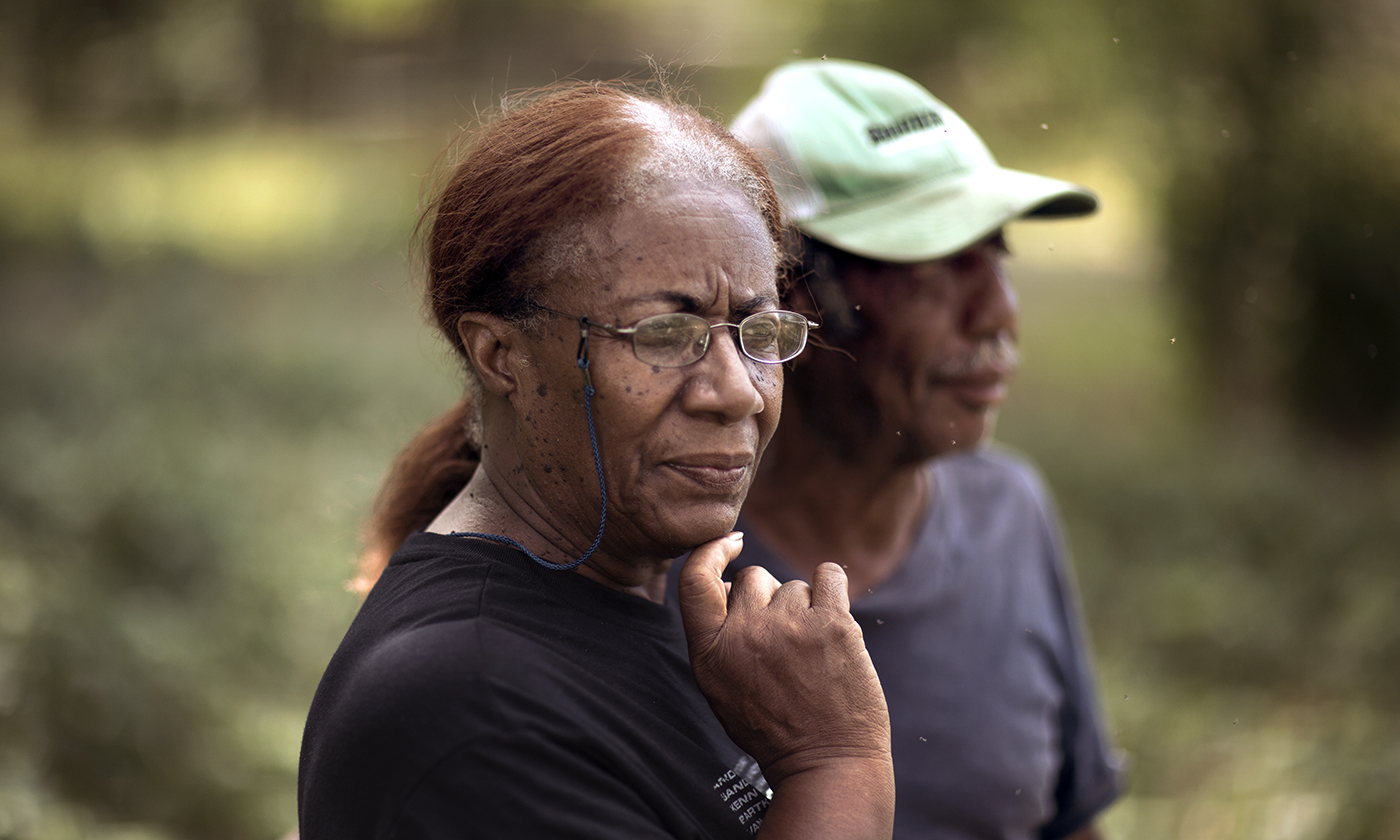 How a Black Farming Community Found Justice - Brewminate: A Bold Blend ...