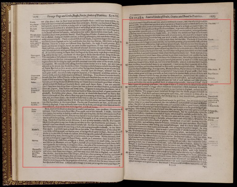 Foods of the Columbian Exchange