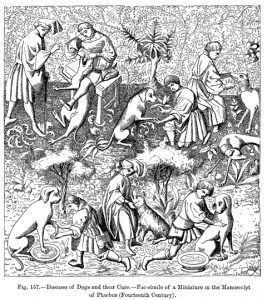 Hunting in Medieval Western Europe Brewminate: A Bold Blend of News and ...