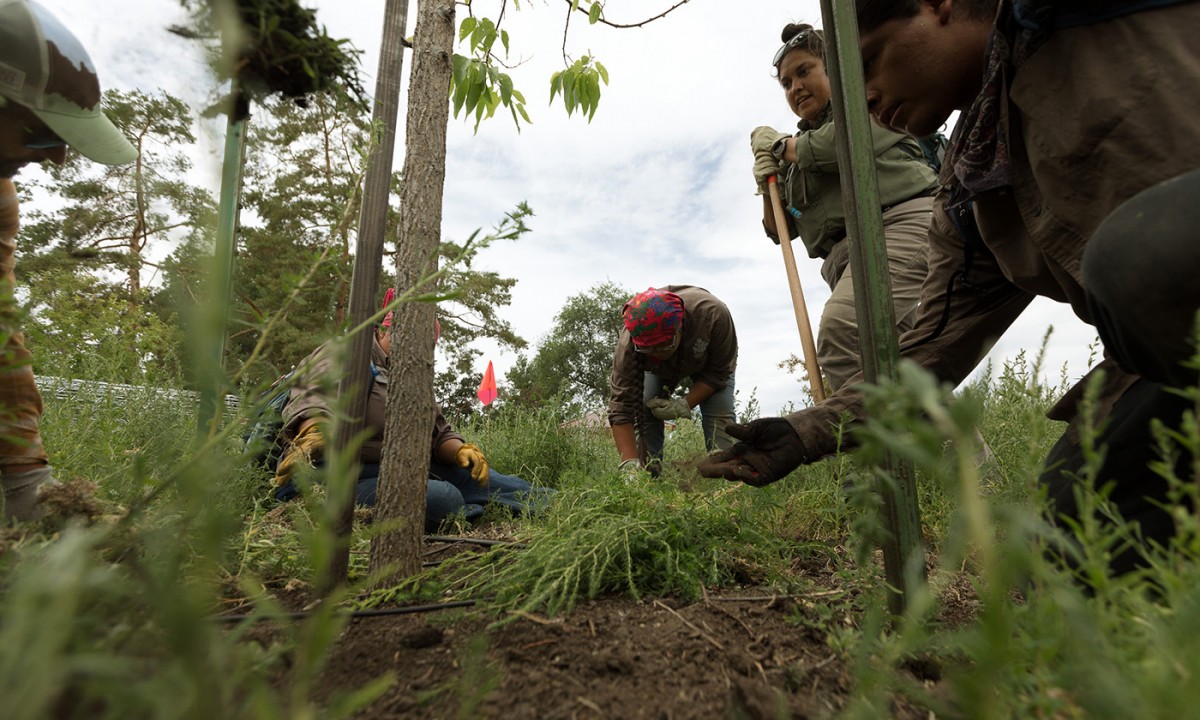 Preparing Native Youth to Steward Ancestral Lands - Brewminate: A Bold ...
