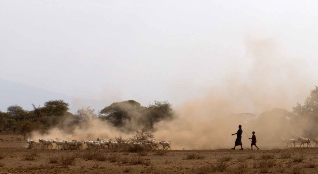 Ancient Human Migration after Out-of-Africa