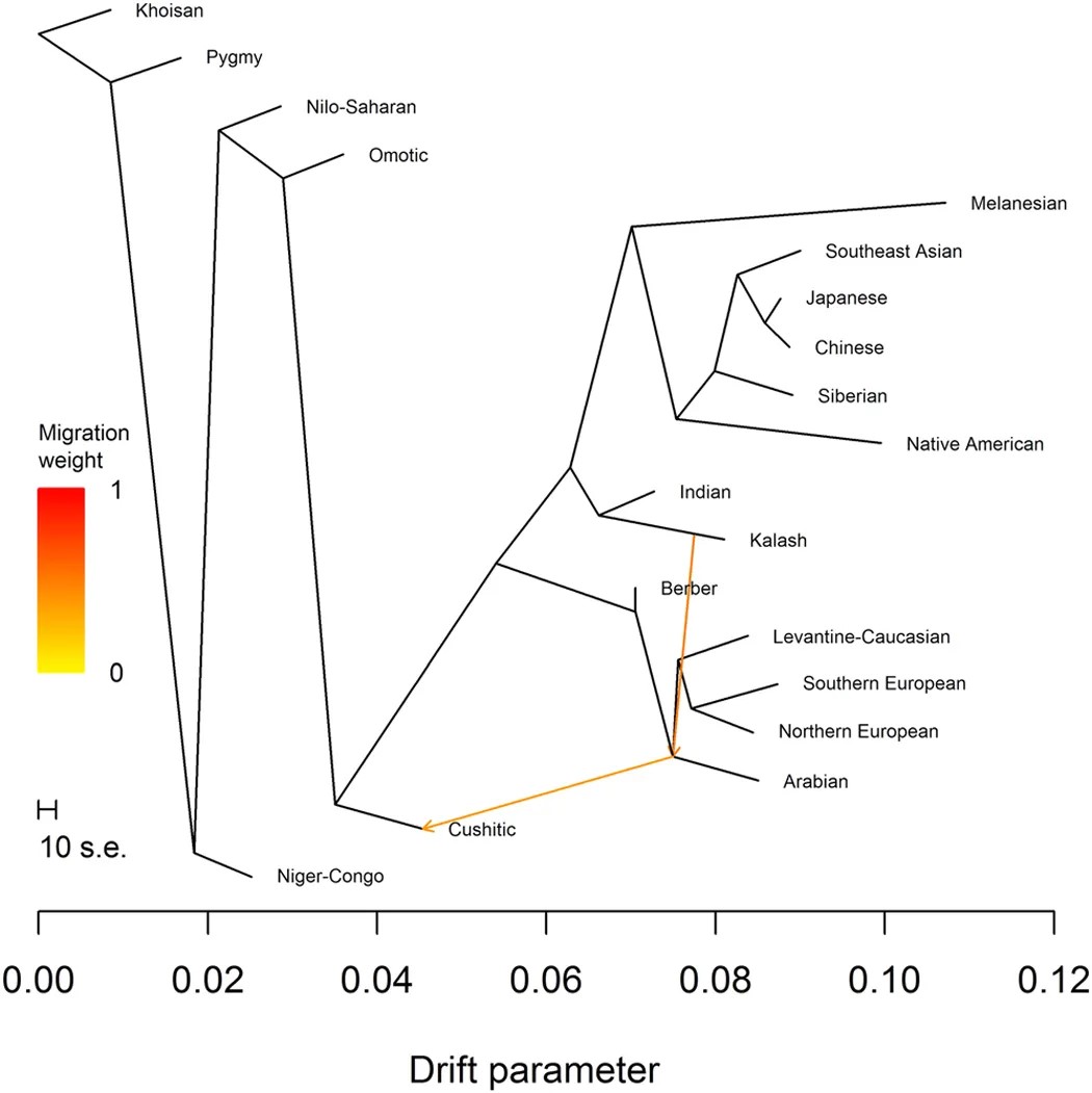 Ancient Human Migration after Out-of-Africa