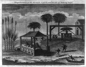 Sugar, Tobacco, and Slavery in the 18th and 19th Centuries Brewminate ...