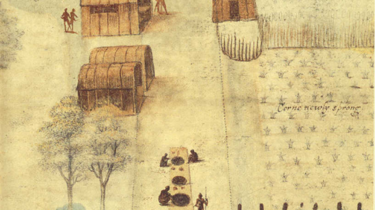 Native American Archaeology in the Nation's Capital Brewminate: A Bold ...