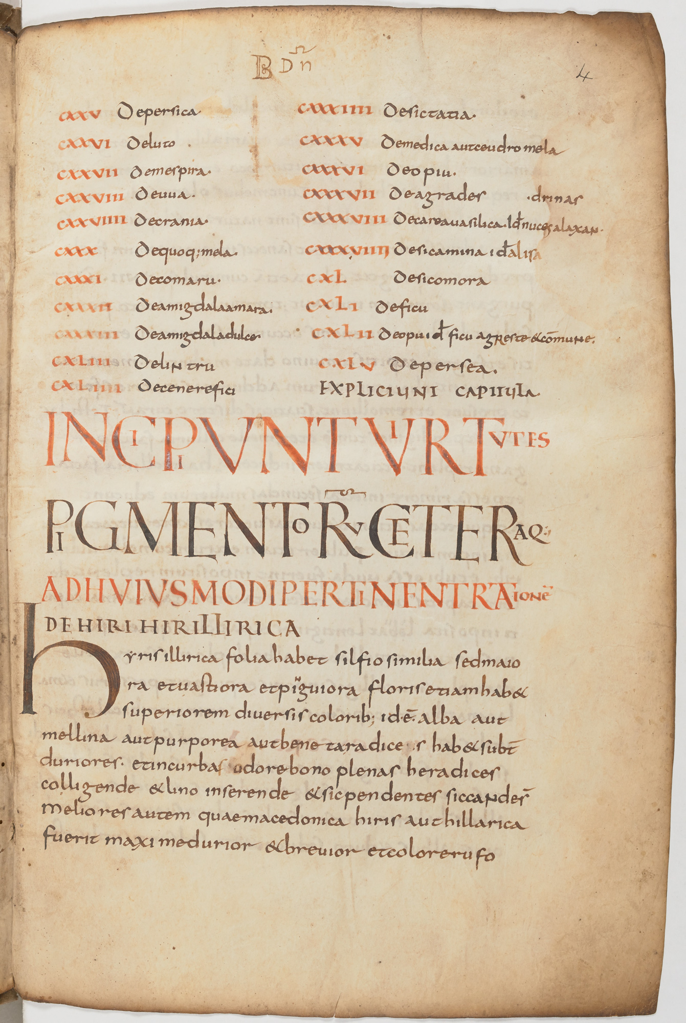 Medical Knowledge in the Early Medieval Period Brewminate: A Bold Blend ...