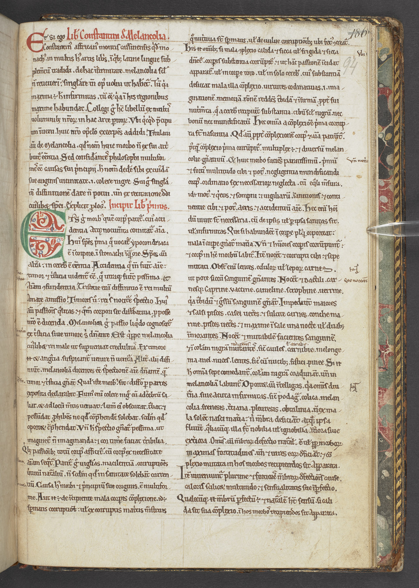Medical Knowledge in the Early Medieval Period Brewminate: A Bold Blend ...
