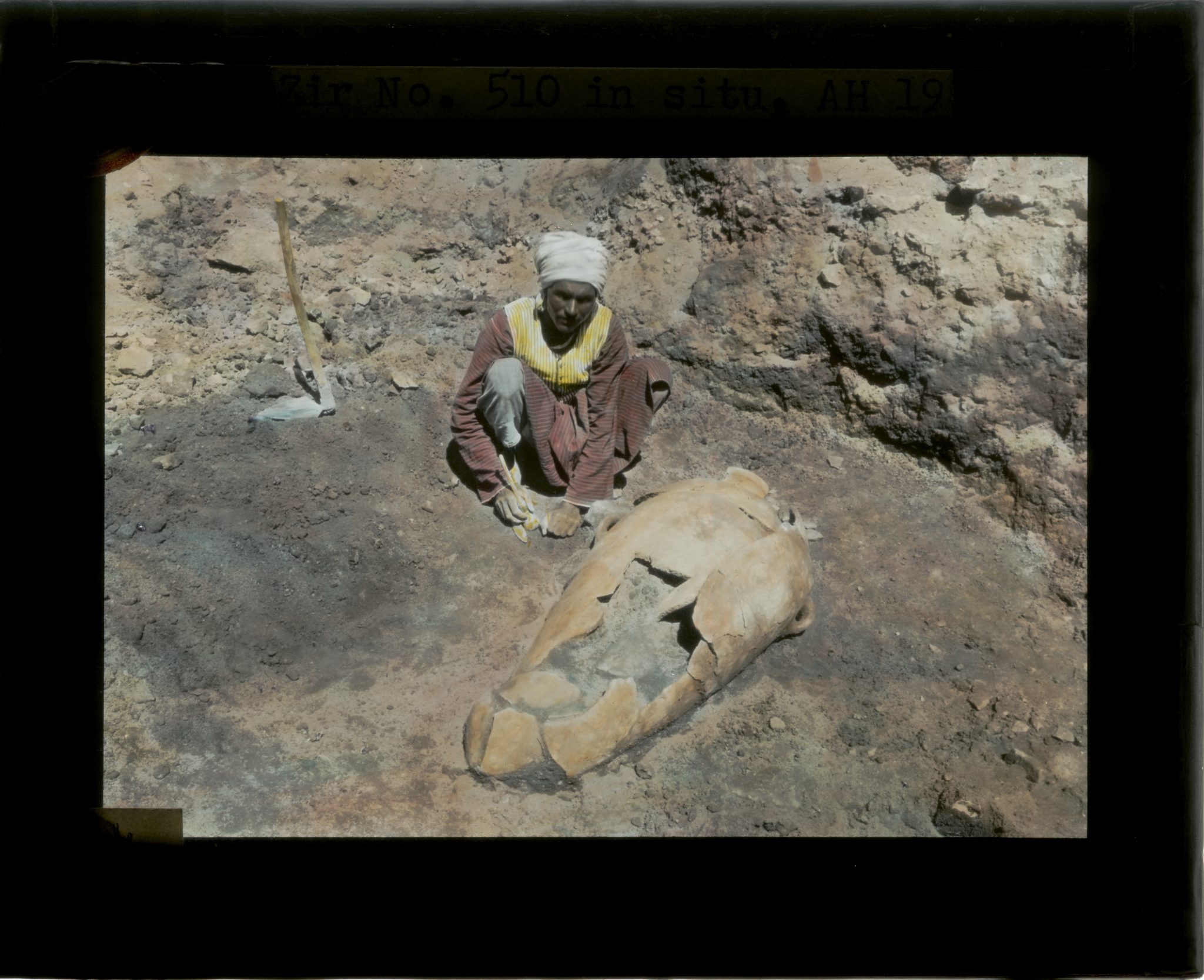 Genetics and the Archaeology of Ancient Israel