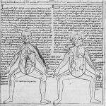 Galen: Ancient Greek Pioneer in Medical Surgery