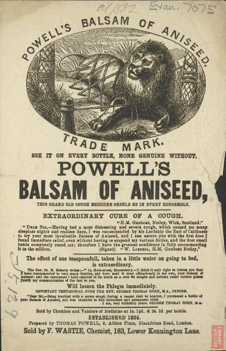 Health and Hygiene in Victorian England – Brewminate: A Bold Blend of ...