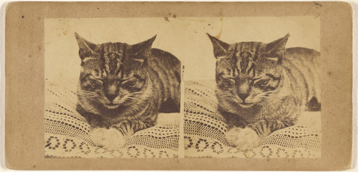 A Selection of Cats From Ancient Art to Present Day