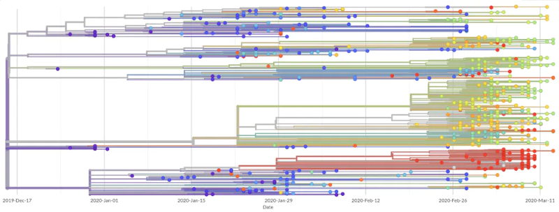 How Scientists Are Tracking the Genetic Evolution of COVID-19 ...