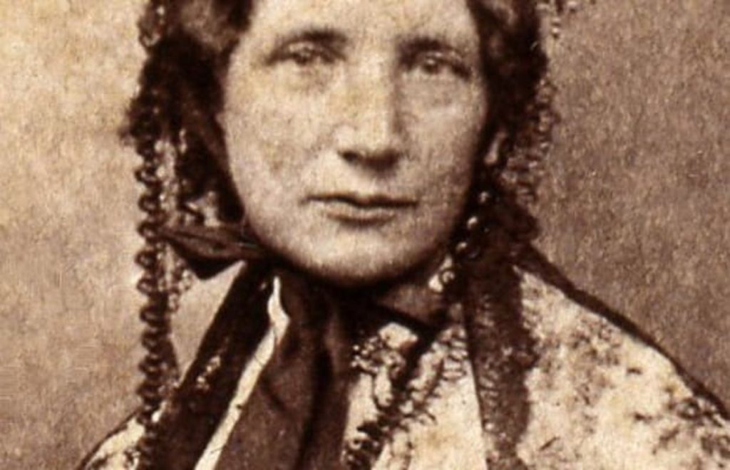 Parlor Politics: The Activist Legacy of Harriet Beecher Stowe ...