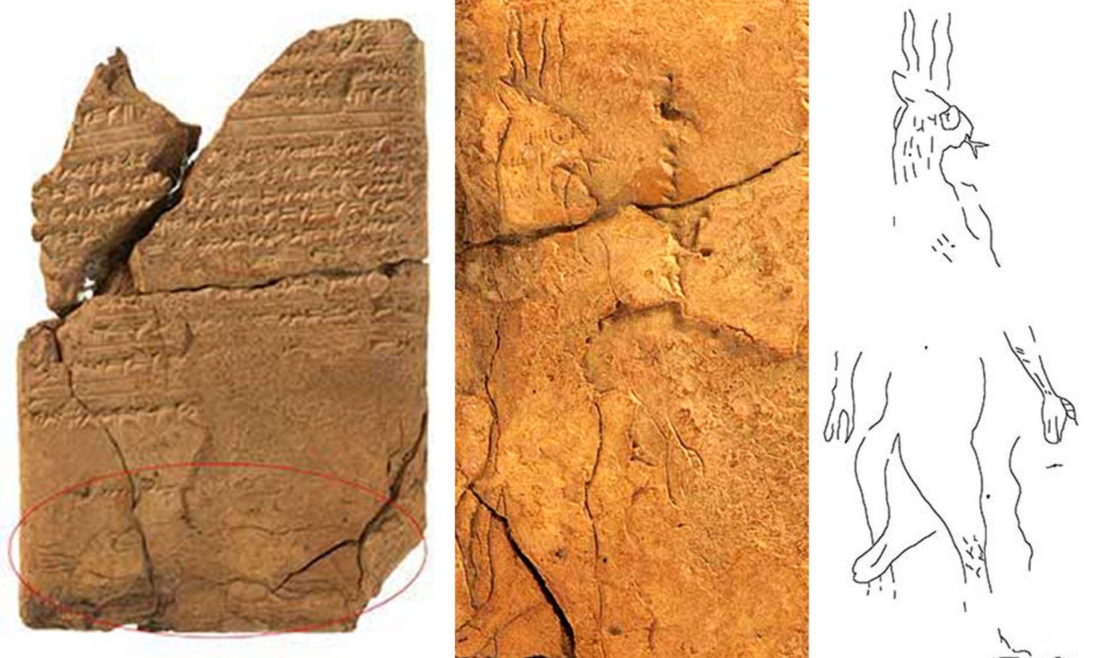 Caesar Hath the Falling Sickness: Disability in Shakespearean Drama