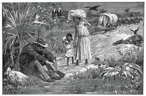 A History of the Yellow Fever Vaccine