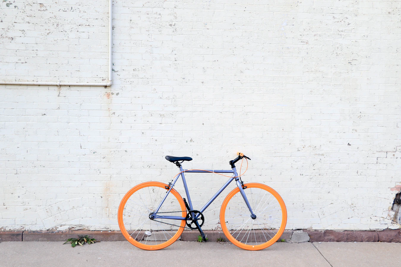 10 Reasons to Buy an E-bike and Pedelec Brewminate: A Bold Blend of ...