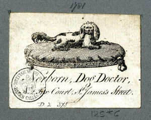 A Brief History of Veterinary Medicine Since the Ancient World ...