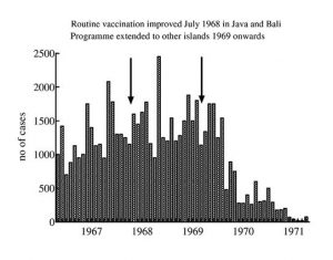 Smallpox and After: An Early History of the Treatment and Prevention of ...
