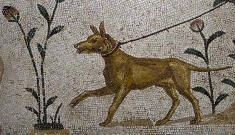 Ancient, Medieval, and Modern Dogs in Art