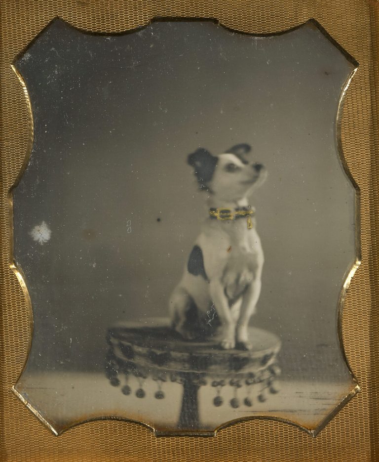 Ancient, Medieval, and Modern Dogs in Art