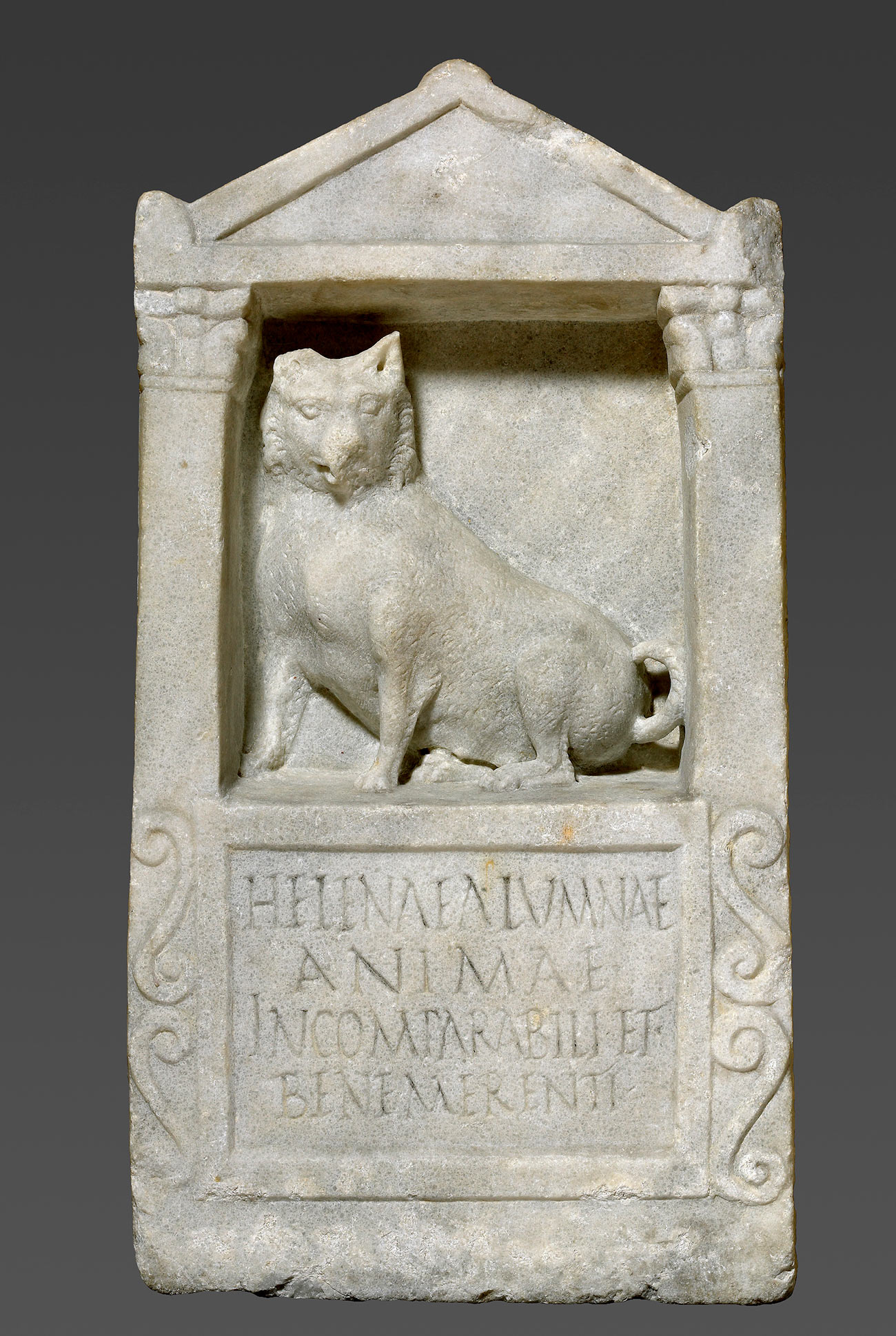 Ancient, Medieval, and Modern Dogs in Art