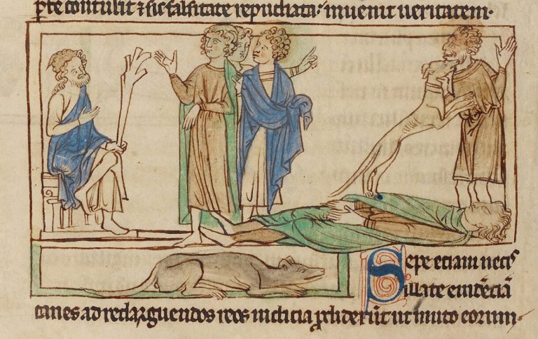 Ancient, Medieval, and Modern Dogs in Art