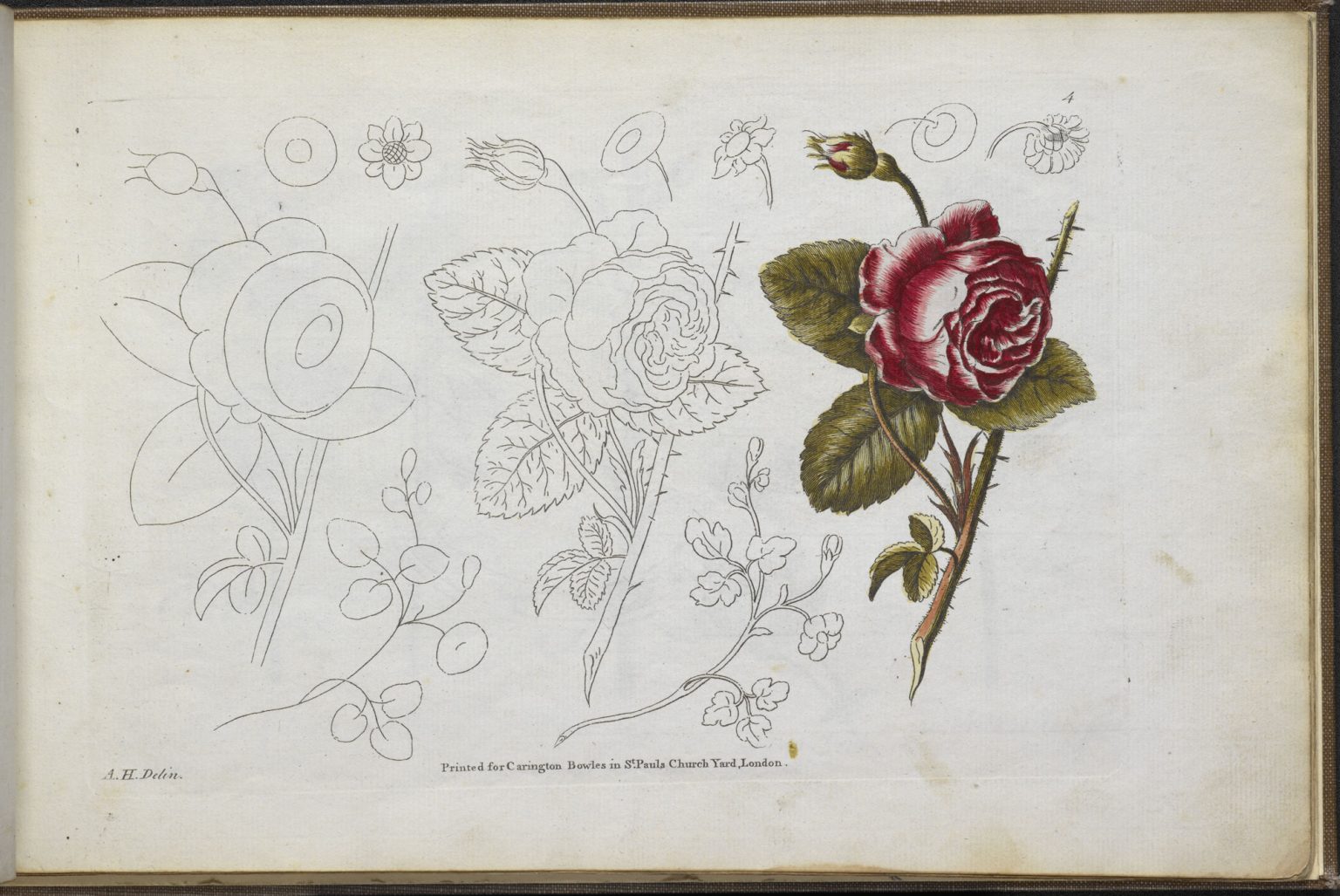 Gender Roles in 19th-Century Victorian Patriarchy